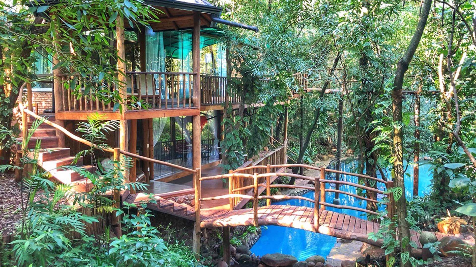 Spa imerso em floresta no Paraná promove terapia natural junto com ...